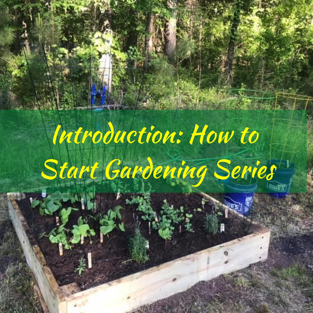 Introduction: How to Start Gardening Series - Small Scale Life