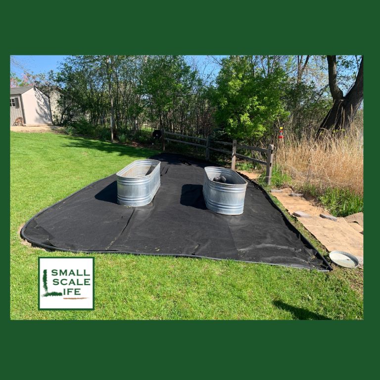 3 Critical Elements of Vegetable Garden Layout Design and Planning ...